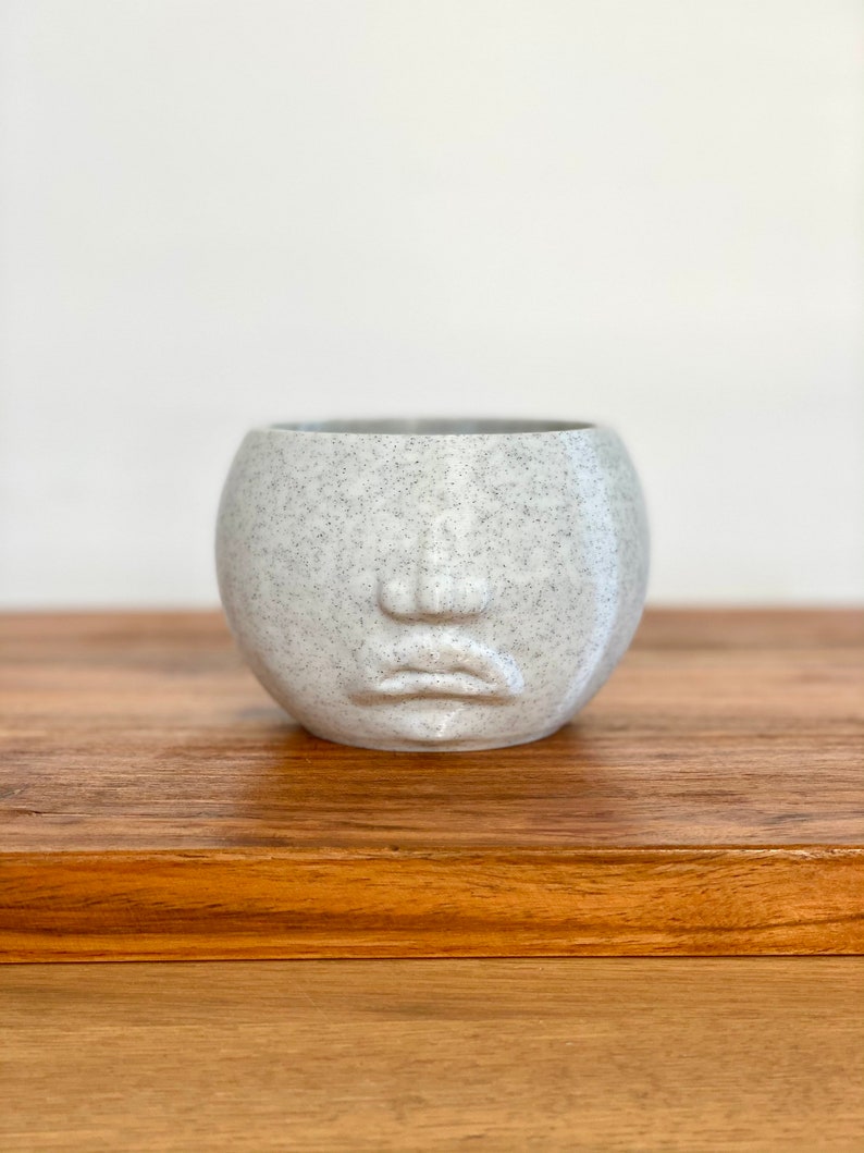 Face Planter Sad Funny Planter Cute Plant Pot with | Etsy