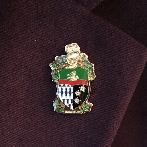 Coat of Arms Lapel Pin - Etsy