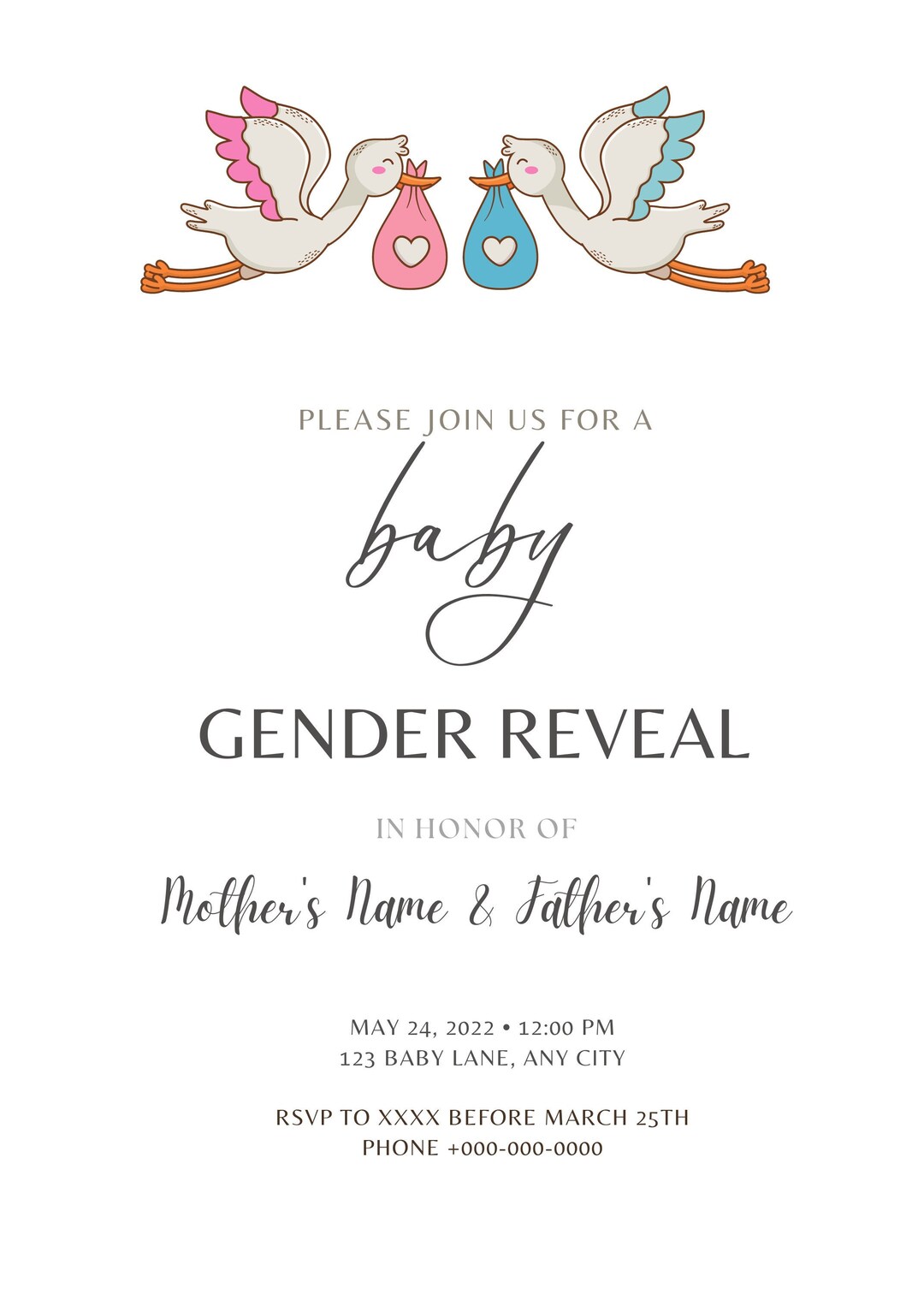 Gender Reveal Invitation, Custom Bender Reveal Invitation, Stork Baby ...