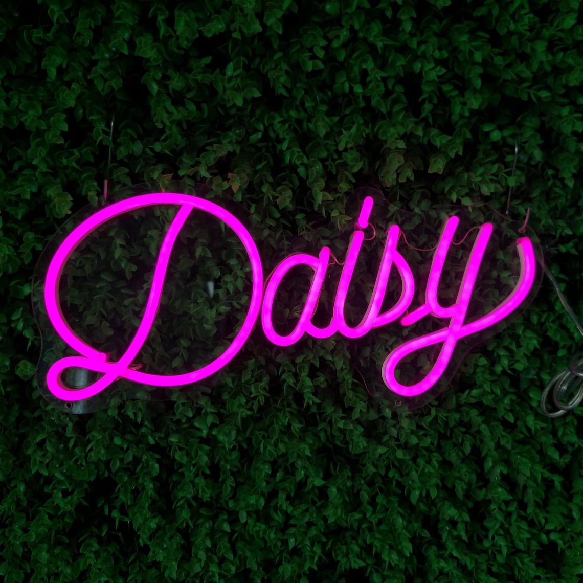 Daisy Custom Name Neon Sign Wedding Party Customize LED Neon - Etsy