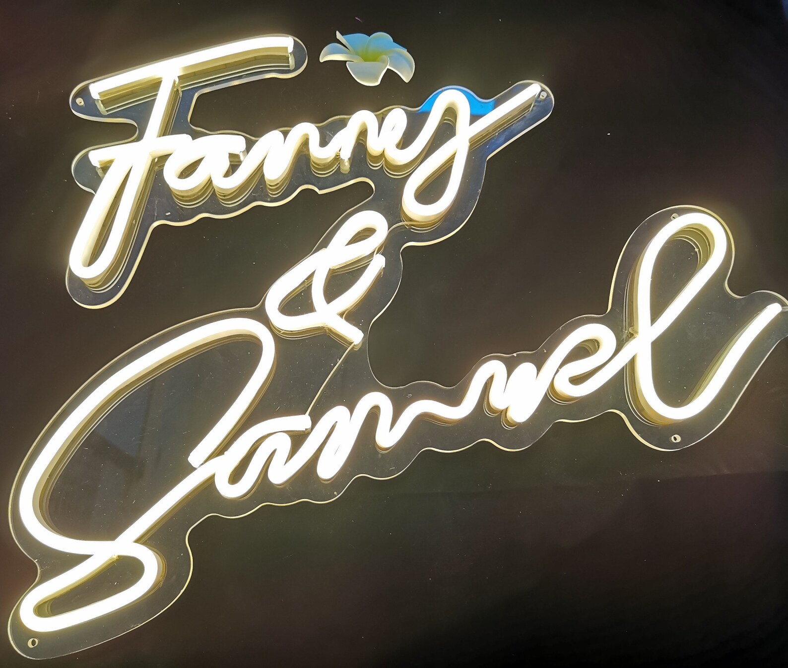 Fanny & Samuel Custom Neon Sign Name Sign with Flex LED Light | Etsy