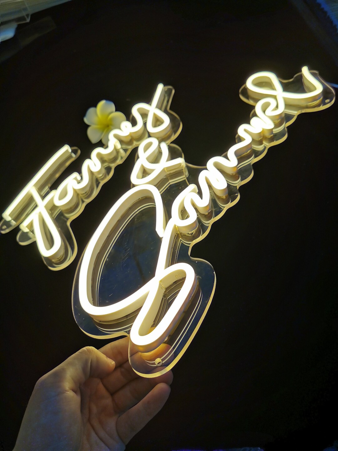 Fanny & Samuel Custom Neon Sign Name Sign With Flex LED Light Party ...