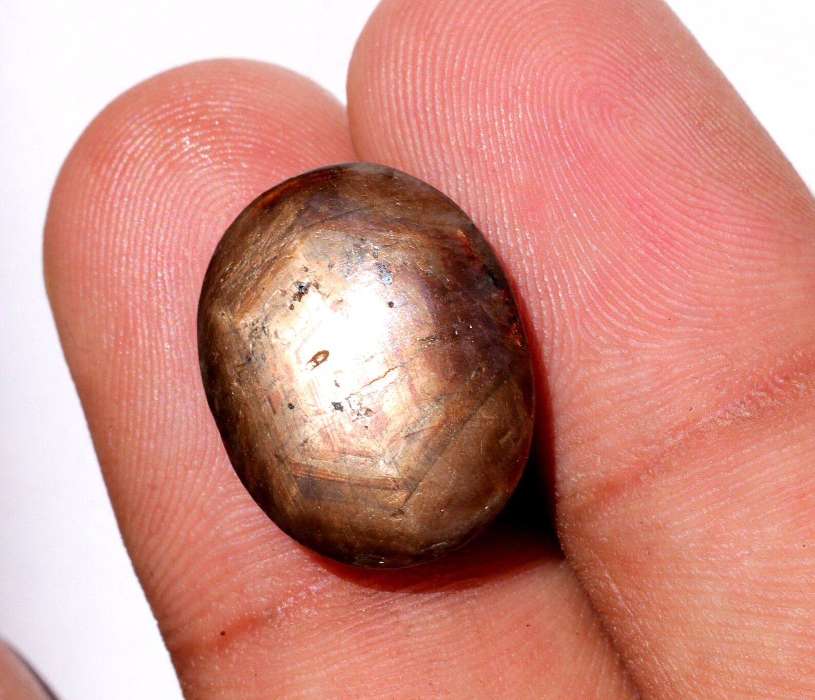 Natural Brown Star Sapphire Cabochon Gemstone Oval Shape Star - Etsy