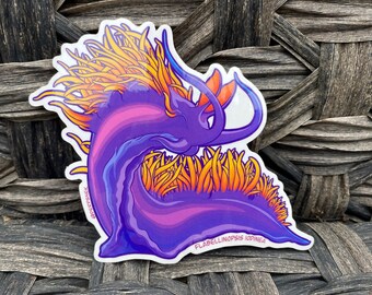 California Nudibranch Stickers: Five Vinyl Stickers, Opalescent ...