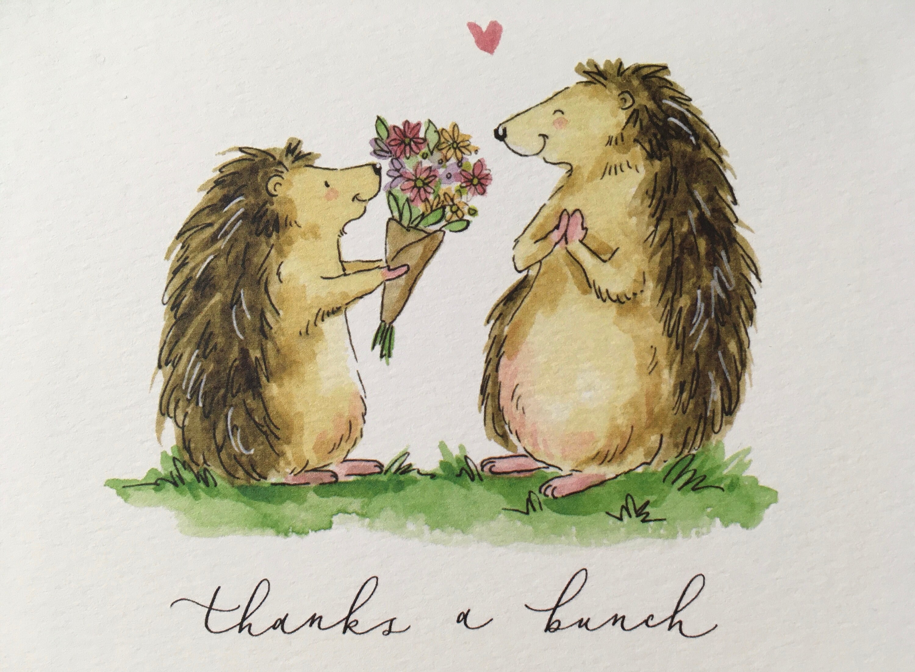 Thank You Hedgehog Card Thank You Greeting Card Hedgehog - Etsy UK