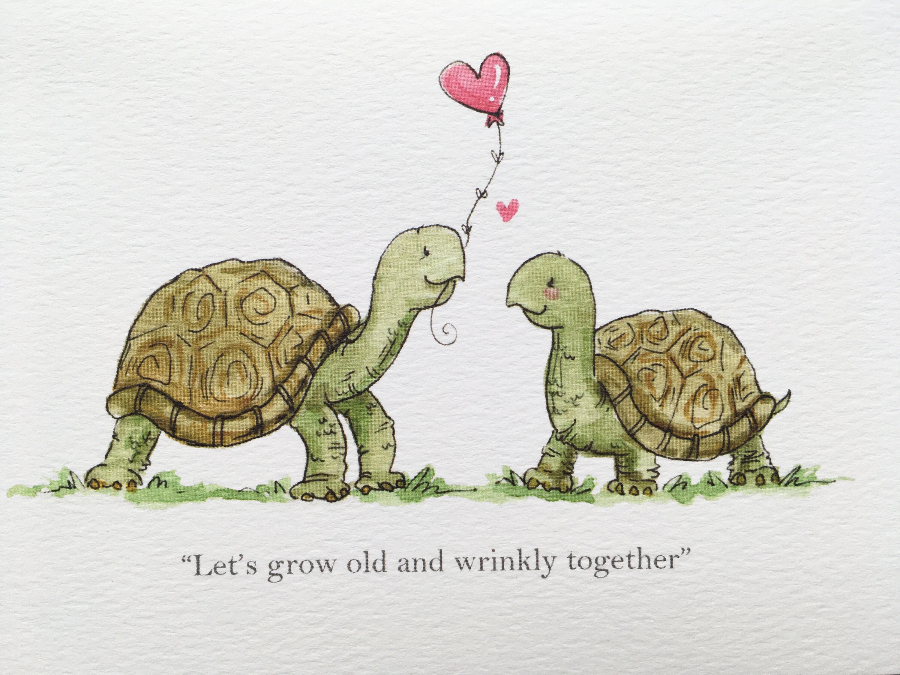 Let's Grow Old and Wrinkly Together Tortoise Card Cute | Etsy UK
