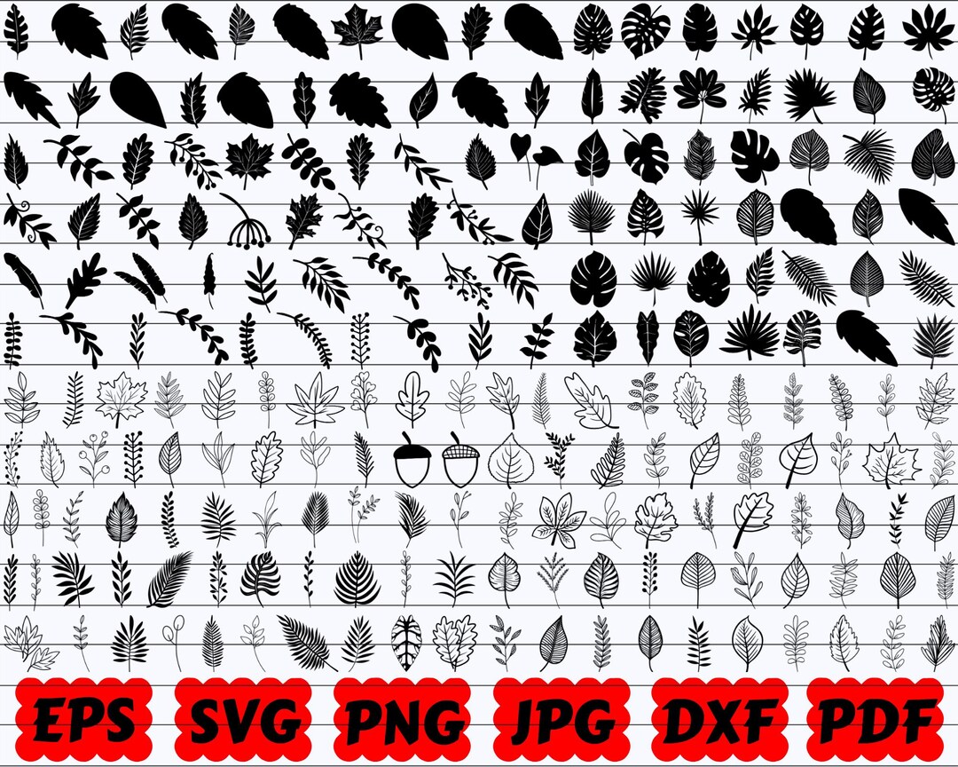 Leaves SVG | Hand Drawn Leaves SVG | Leaf SVG | Tropical Leaves Svg ...