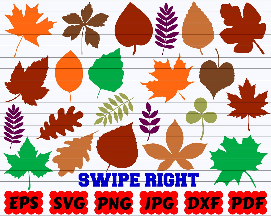 Leaves SVG Leaf SVG Leaves Cut File Leaves Clipart - Etsy
