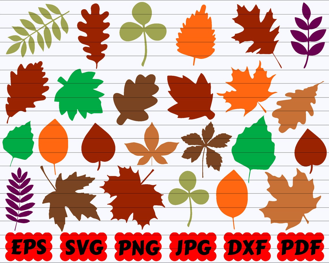 Leaves SVG Leaf SVG Leaves Cut File Leaves Clipart - Etsy