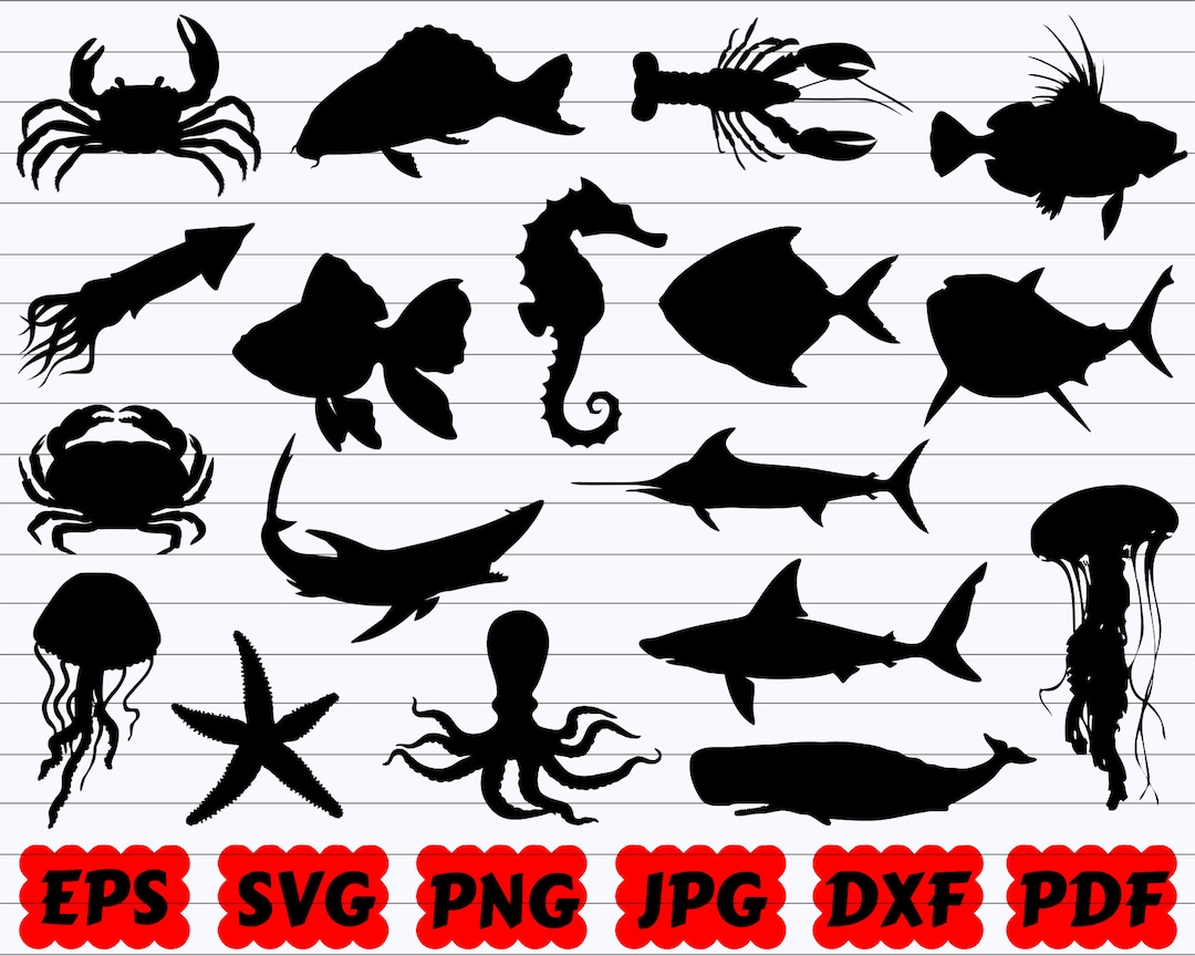 Ocean Life SVG | Ocean Creatures SVG | Sea Animals SVG | Animals Svg ...