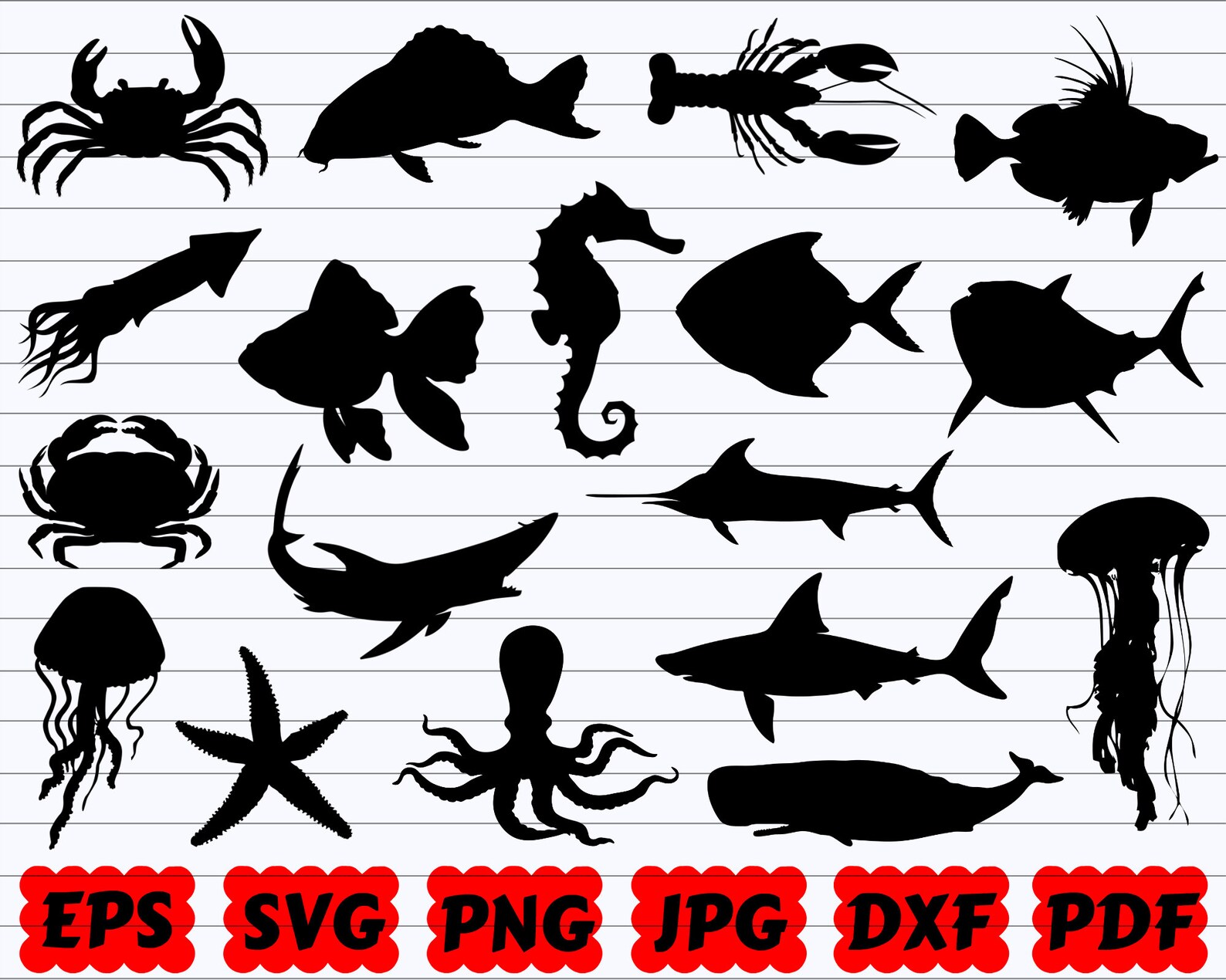 Ocean Life SVG Ocean Creatures SVG Sea Animals SVG - Etsy