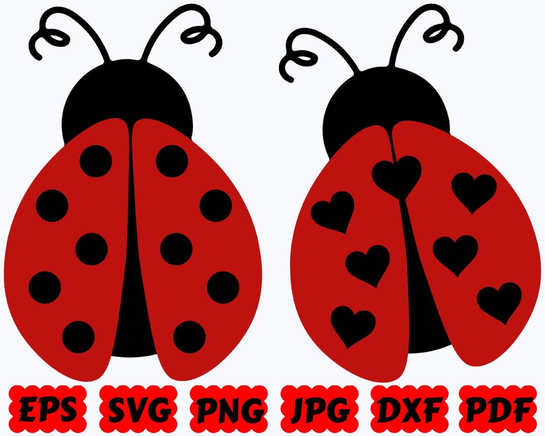 Ladybug SVG | Bug SVG | Spring SVG | Hello Spring Svg | Cut Files for ...