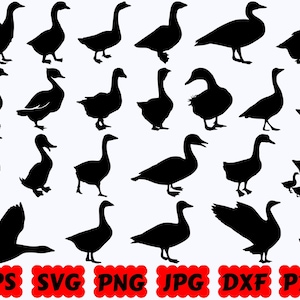 Goose SVG | Farm Animal SVG | Animal SVG | Cut Files for Cricut ...
