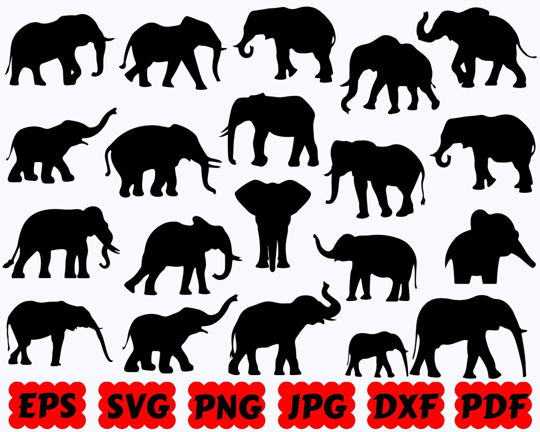 Elephant SVG | Animal SVG | Safari Animal SVG | Cut Files for Cricut ...