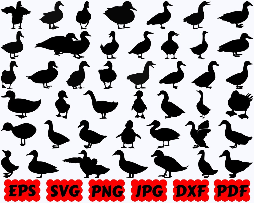 Duck SVG | Farm Animal SVG | Animal SVG | Cut Files for Cricut ...