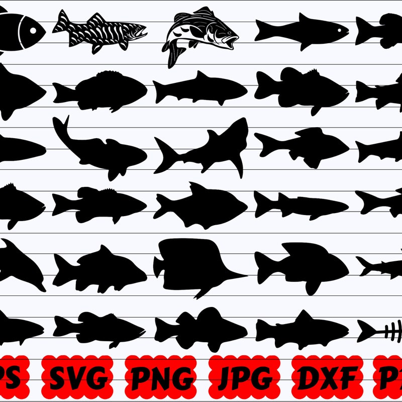Fish Svg - Etsy