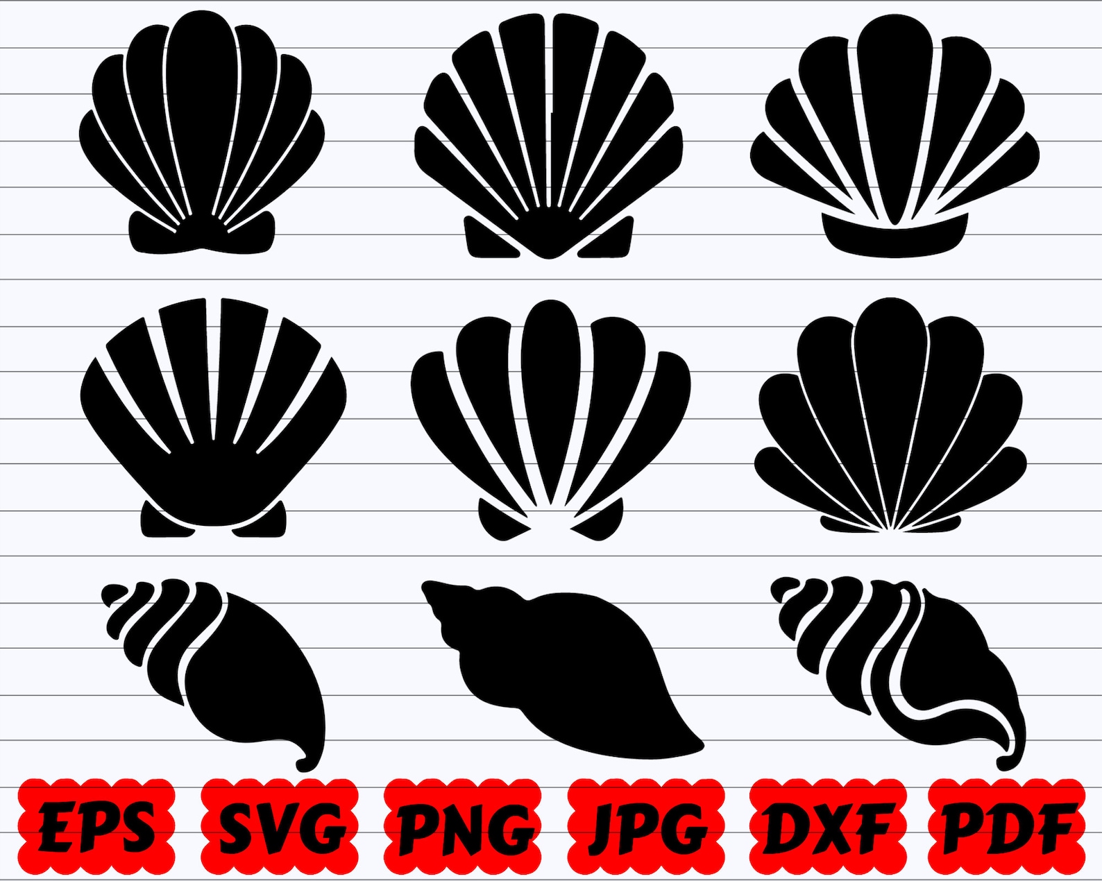 Seashell SVG Seashell SVG Bundle Seashell Cut Files | Etsy