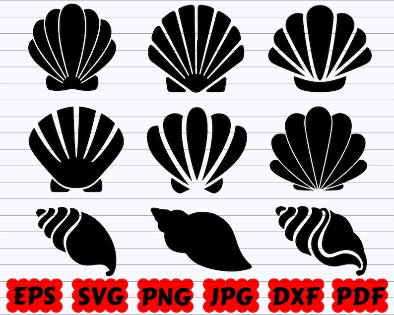Seashell SVG Seashell SVG Bundle Seashell Cut Files Seashell Silhouette ...