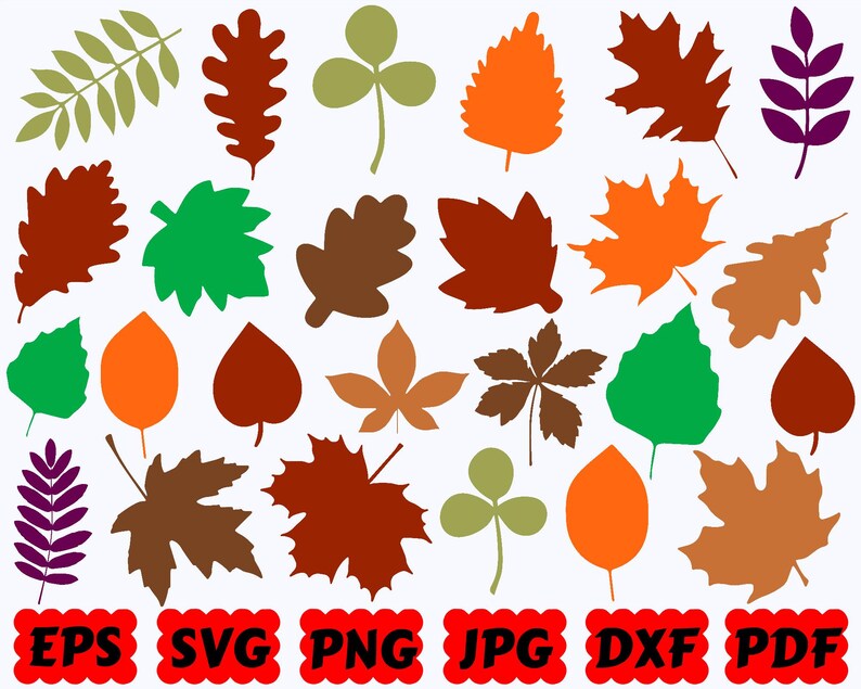 Leaves SVG | Leaf SVG | Fall SVG | Autumn Svg | Cut Files for Cricut ...