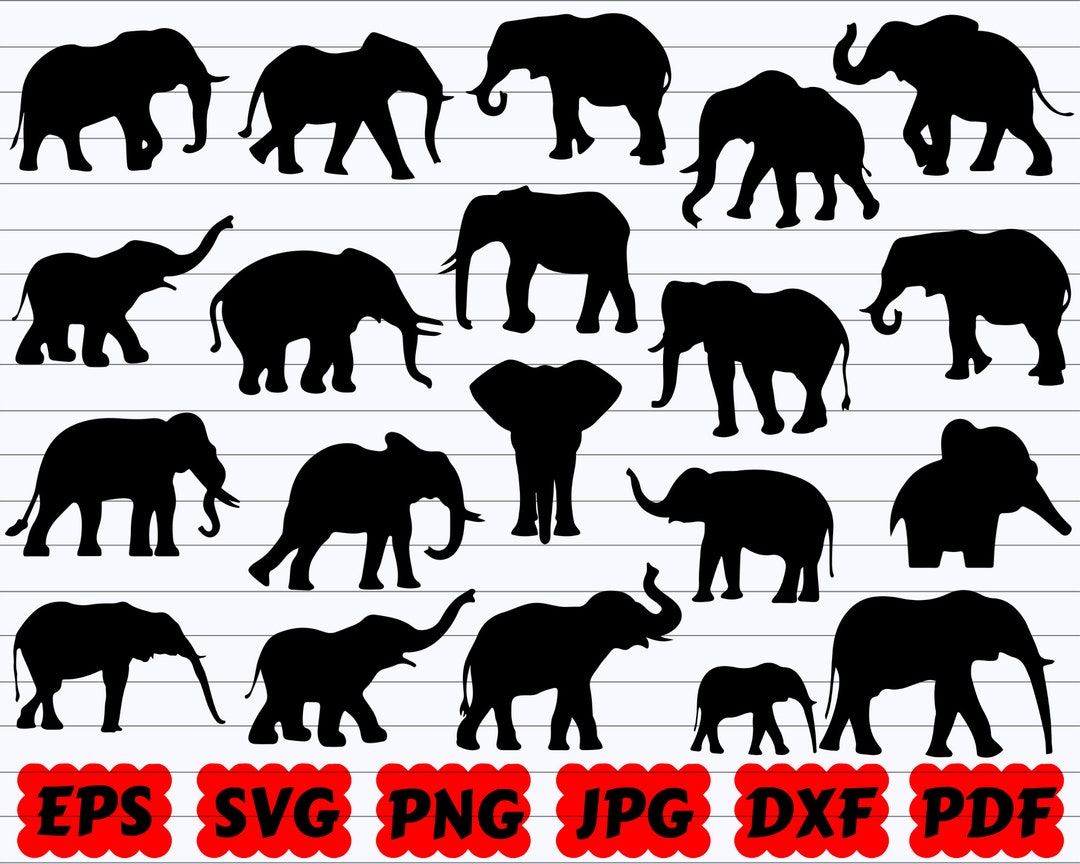 Elephant SVG | Elephant SVG Bundle | Elephant Cut File | Elephant ...