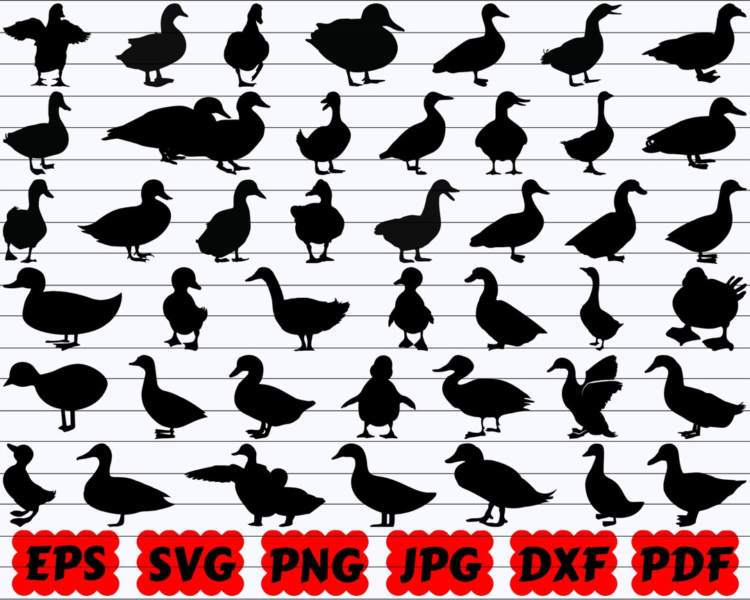 Duck SVG | Animal SVG | Farm Animal SVG | Duck Cut Files | Duck ...
