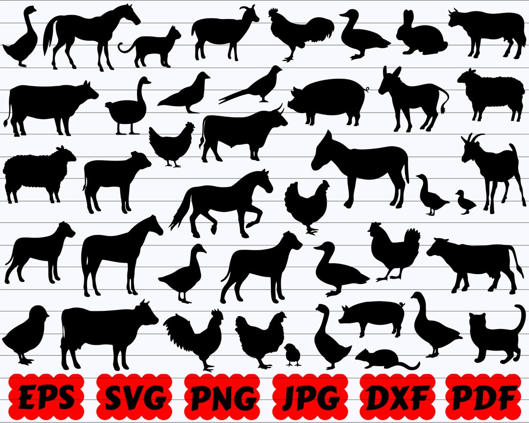 Farm Animal SVG Animal SVG Bundle Farm Life Svg Farm - Etsy UK
