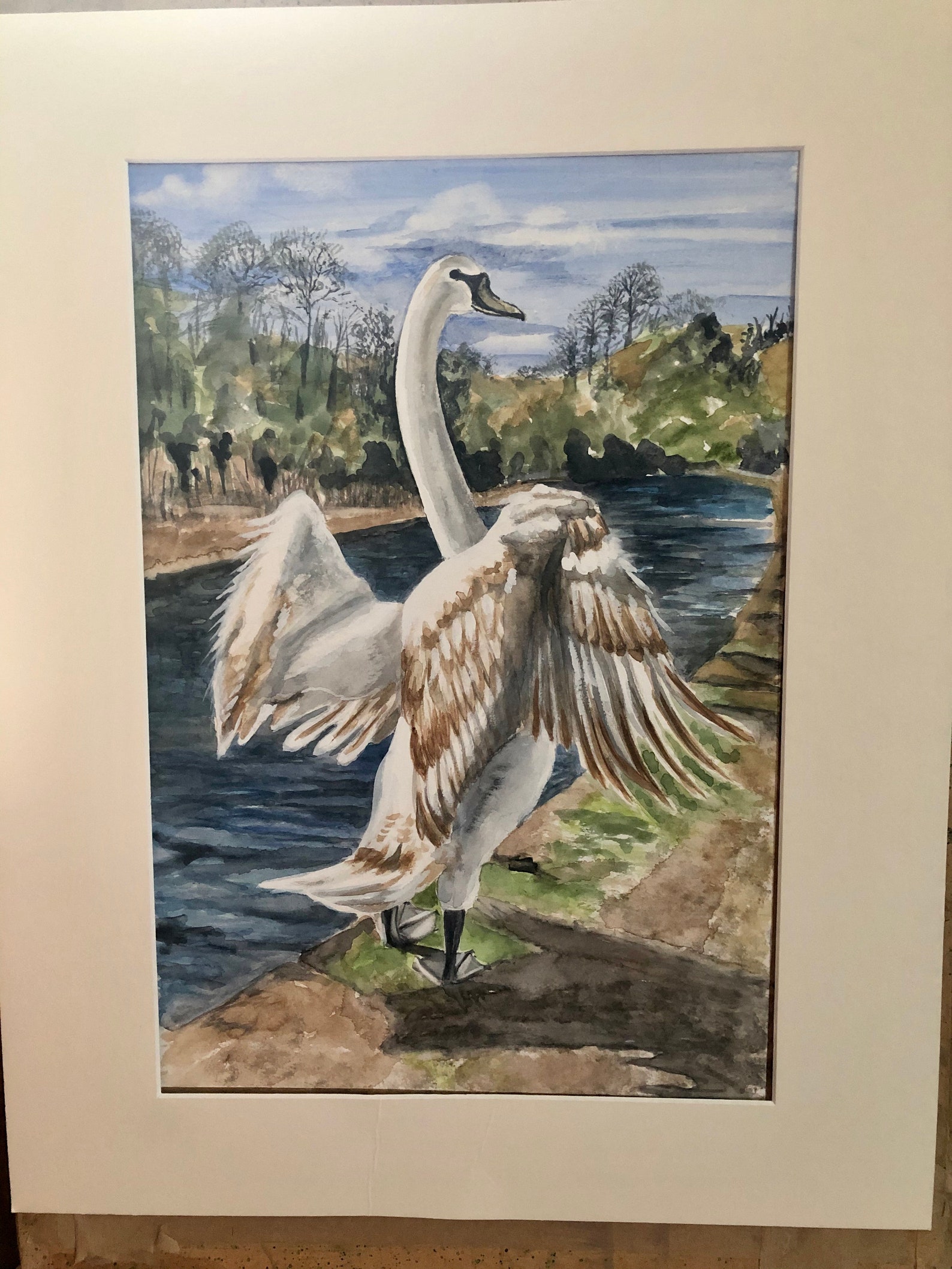 Pintura original en acuarela. El Cisne - Etsy España