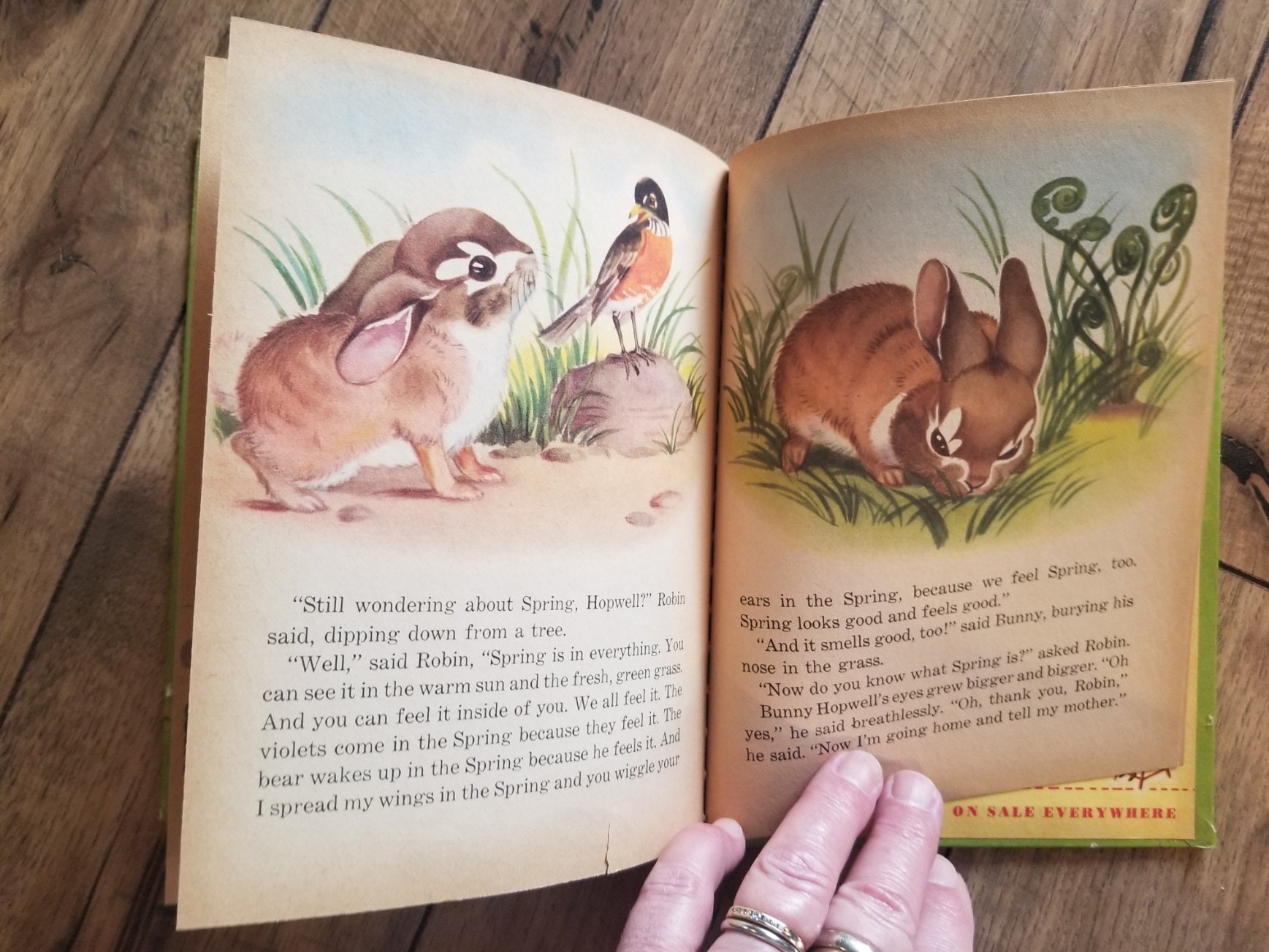 Vintage 1954 "bunny Hopwell's First Spring" Children's Book; Story by ...