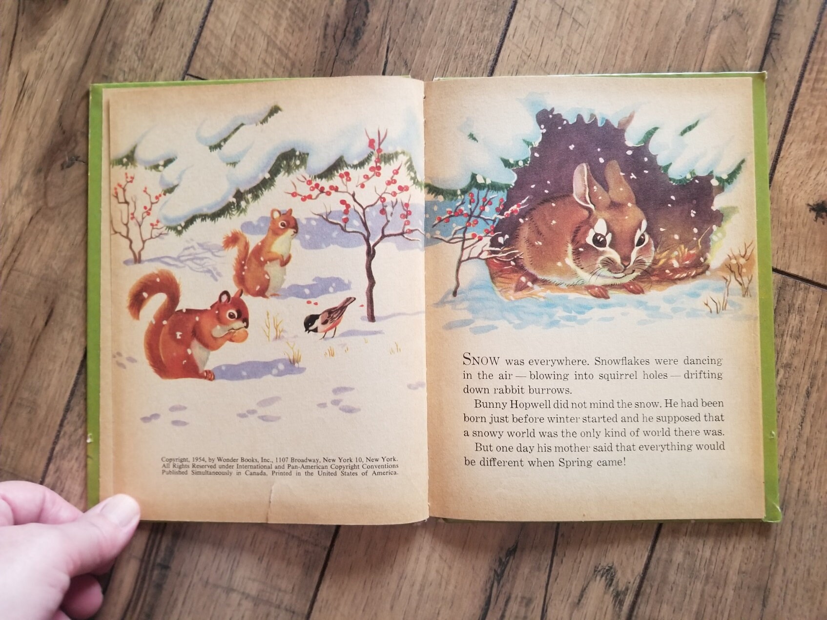 Vintage 1954 bunny Hopwell's First Spring Children's Book Story by Jean ...