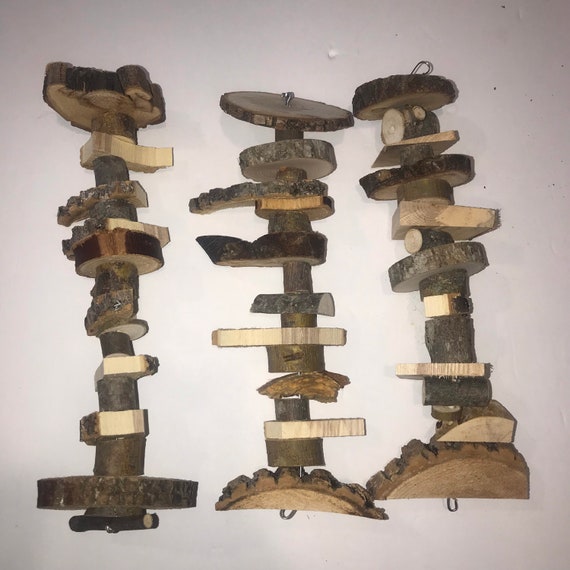 10 Ash Willow& Poplar Wood Hanging Bird Parrot Chinchilla Rat | Etsy