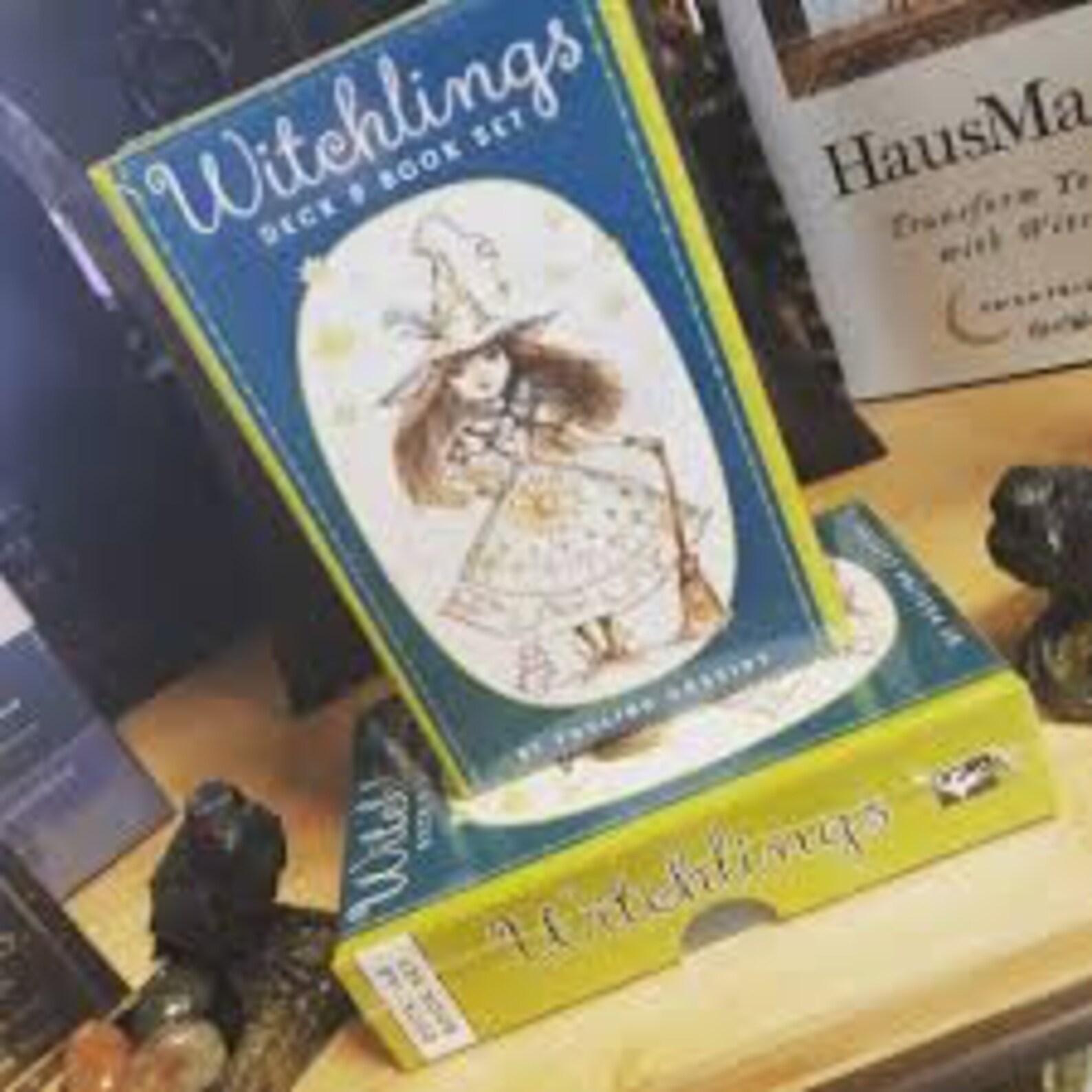 Witchlings Tarot Deck and Book Paulina Cassidy | Etsy