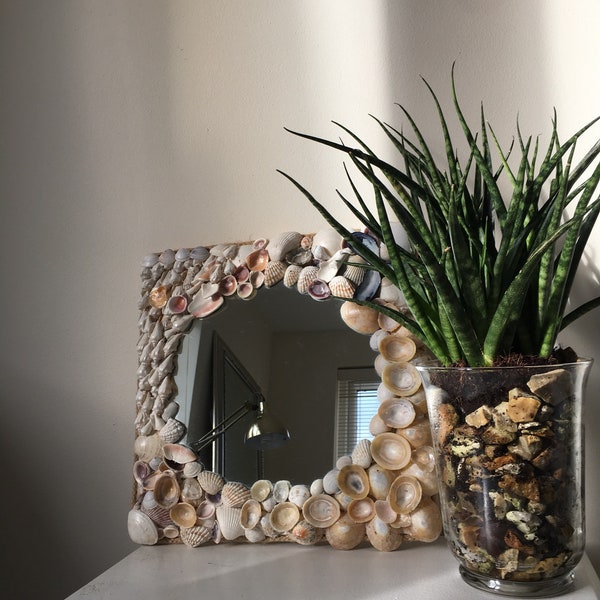 Shell Mirror - Etsy UK