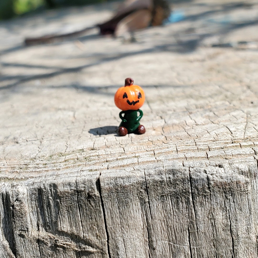 Teeny Tiny Micro Pumpkin Head, Fairy Garden Gnome, Tiny Terrarium ...