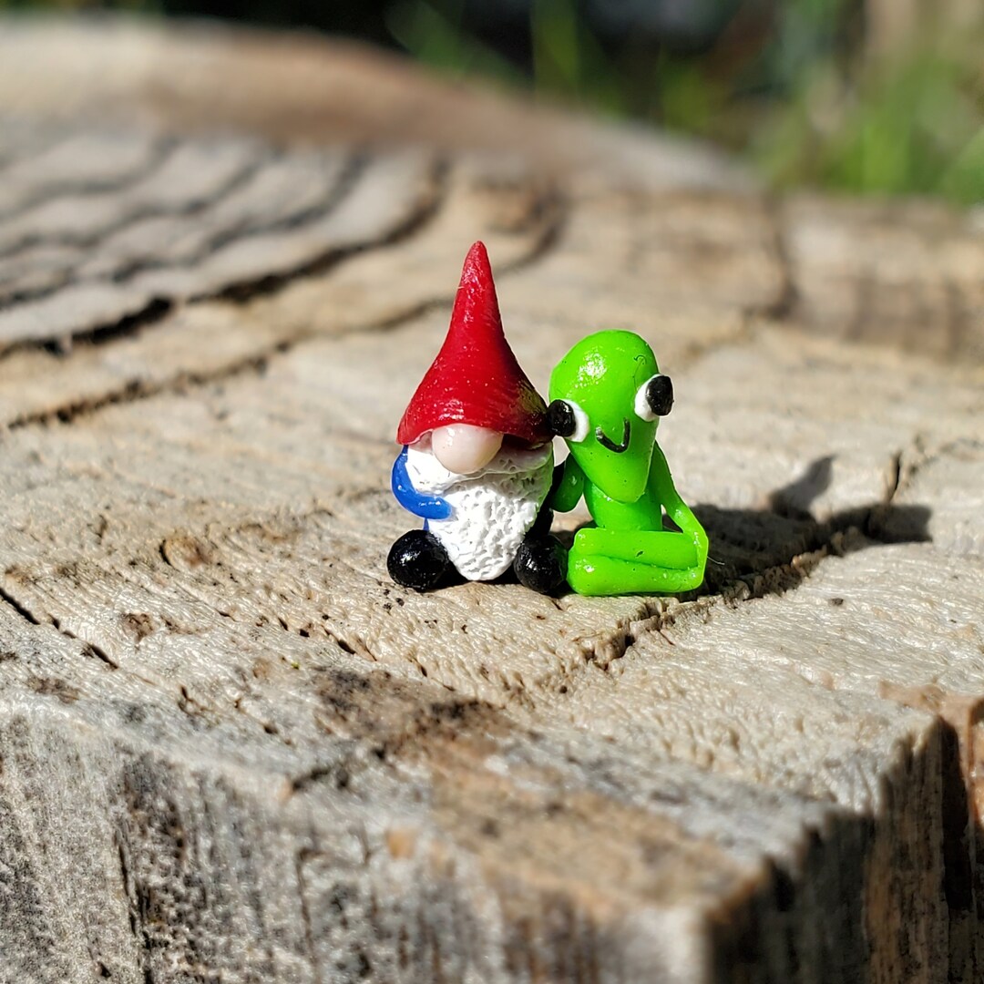 Tiny Micro Gnome and Alien Friend Figurine for Fairy Garden or ...
