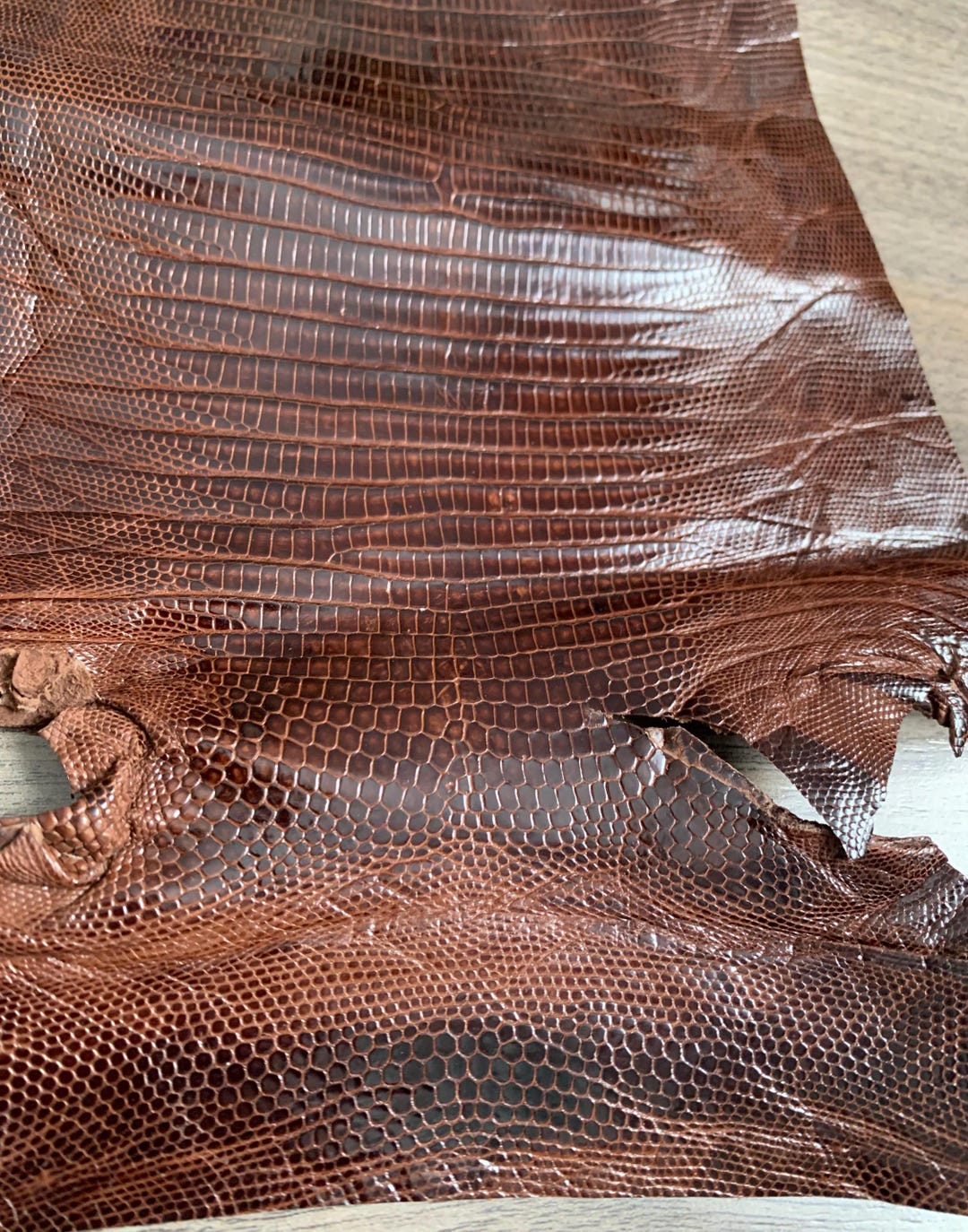 Authentic Italian Lizard Hide From Milan Italy - Dark Brown Lizard ...