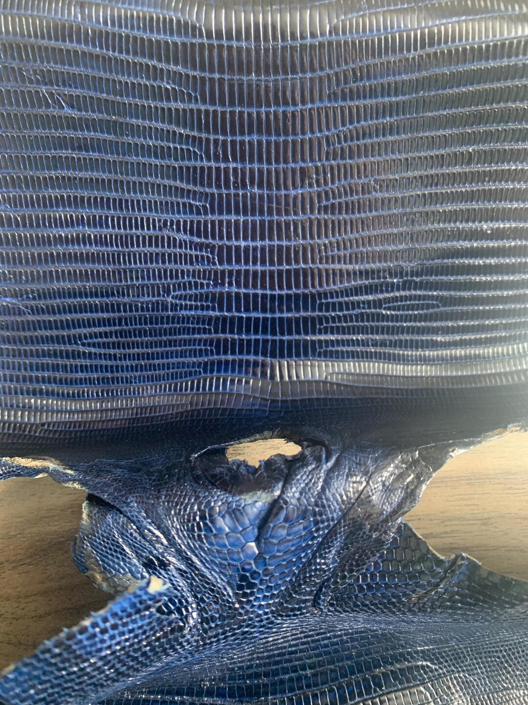 Authentic Italian Lizard Hide From Milan Italy - Dyed Blue Lizard ...