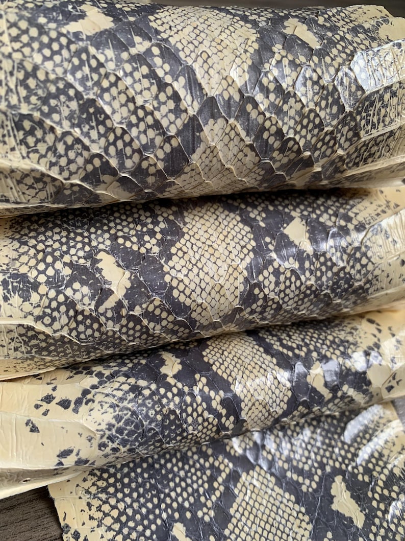 Authentic Italian Python Snakeskin Hides From Milan Italy, Natural ...