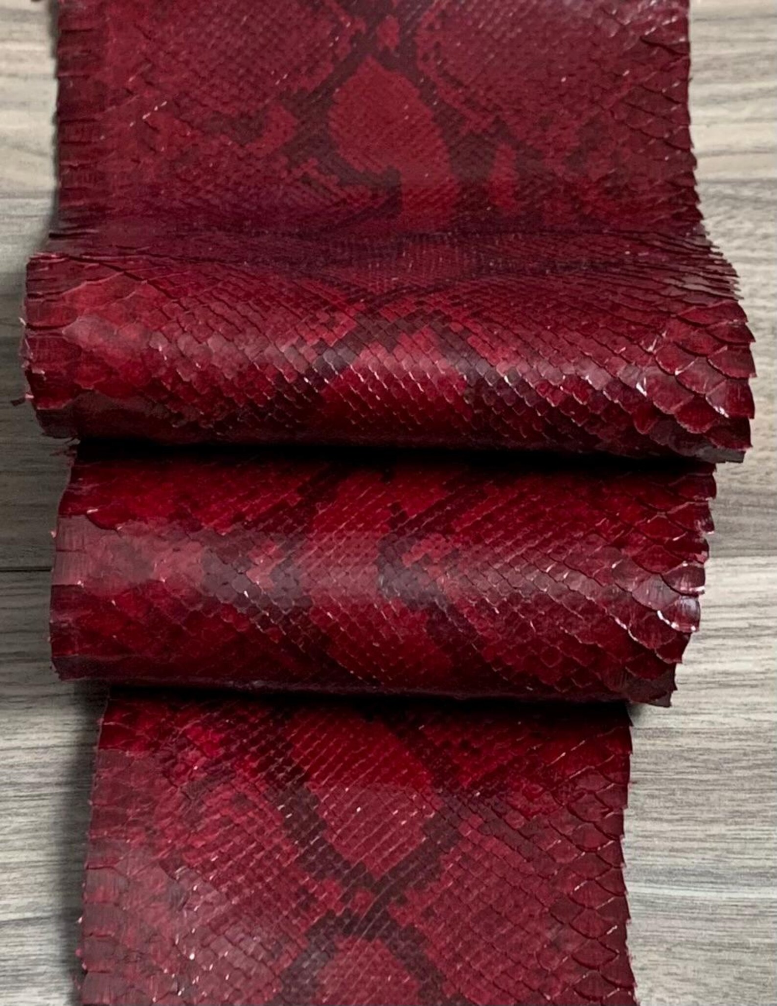Authentic Italian Python Snakeskin Hides From Milan Italy, Natural ...
