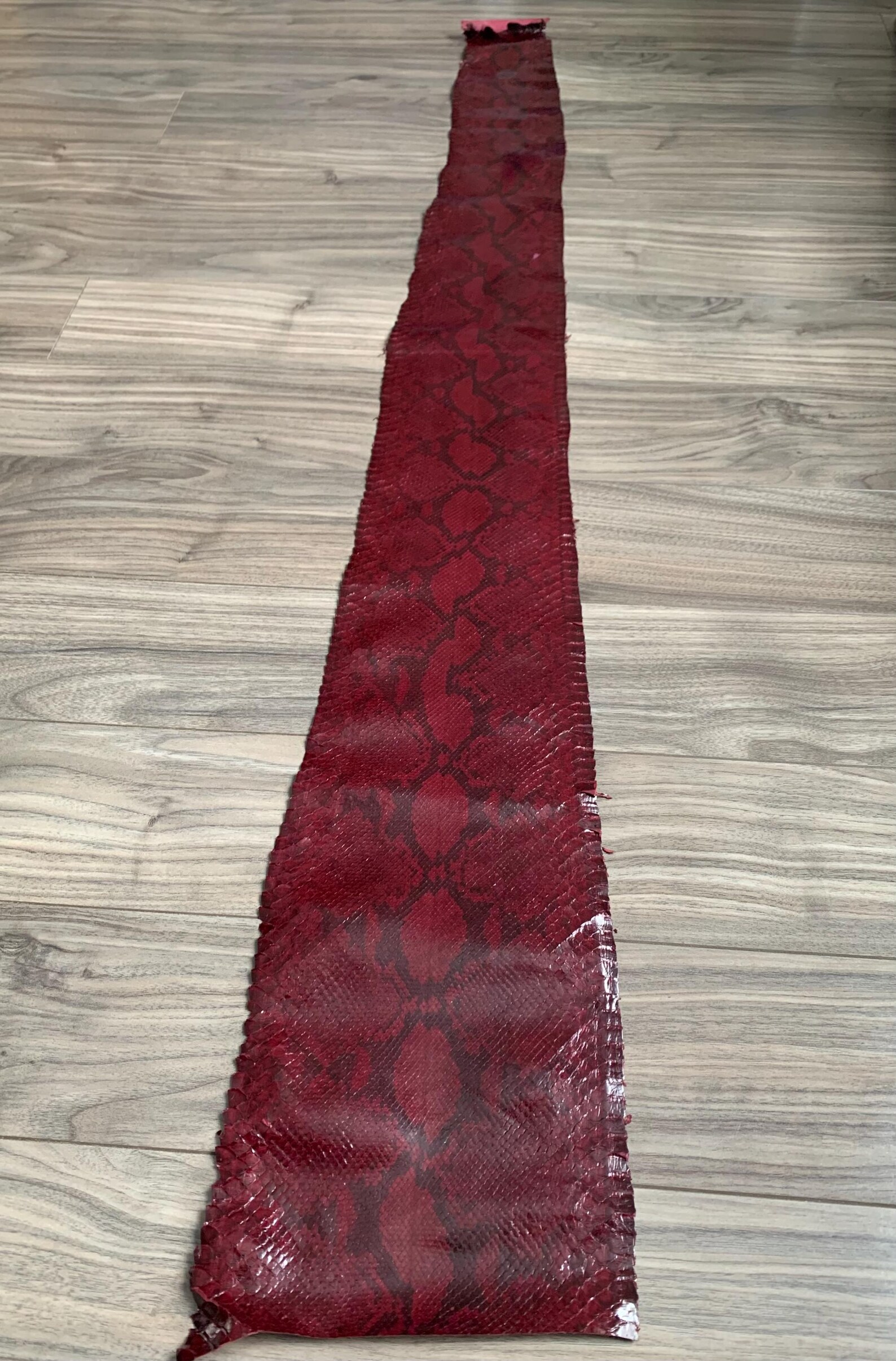 Authentic Italian Python Snakeskin Hides From Milan Italy, Natural ...