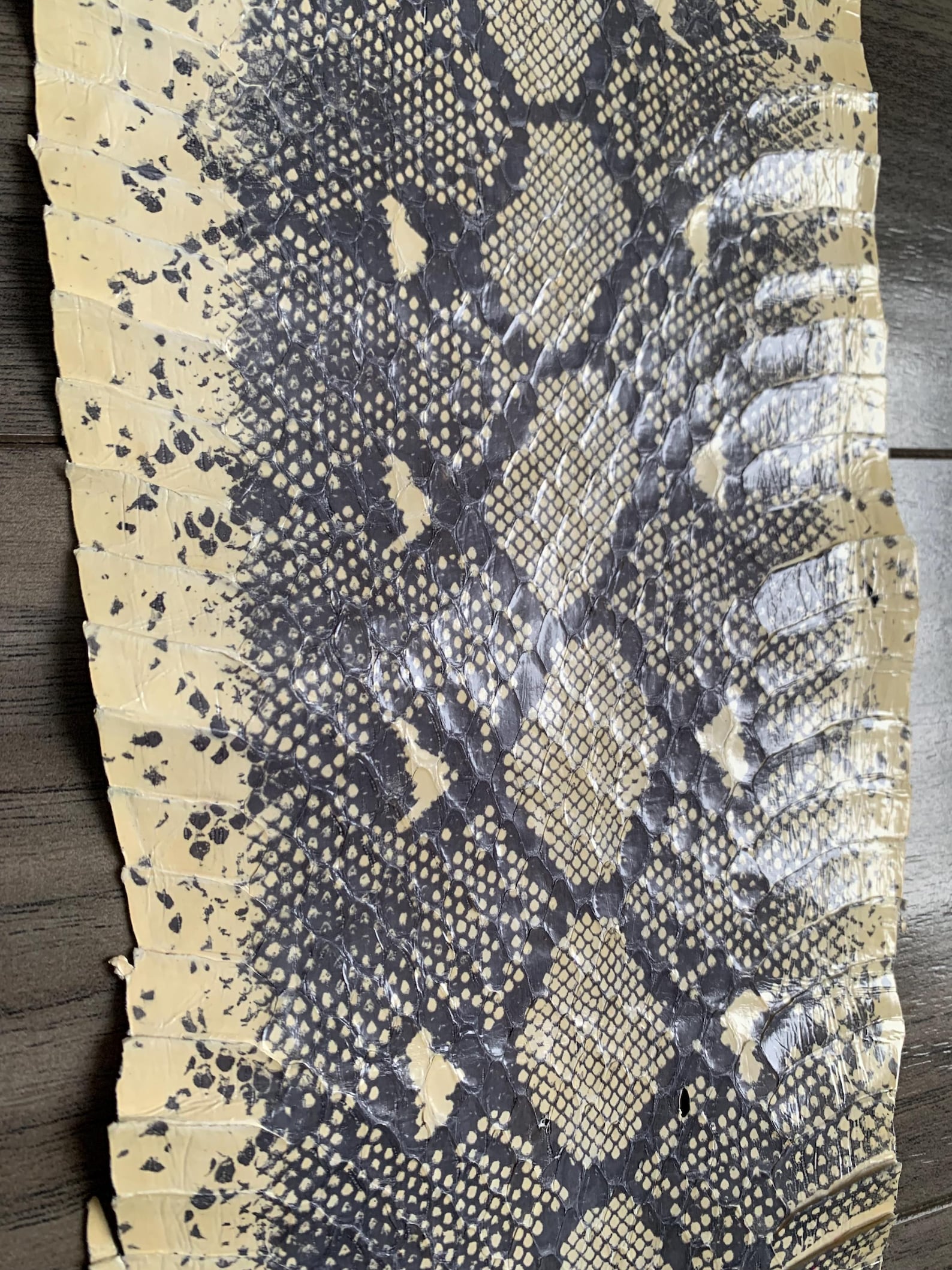 Authentic Italian Python Snakeskin Hides From Milan Italy, Natural ...