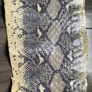 Authentic Italian Python Snakeskin Hides From Milan Italy, Natural ...