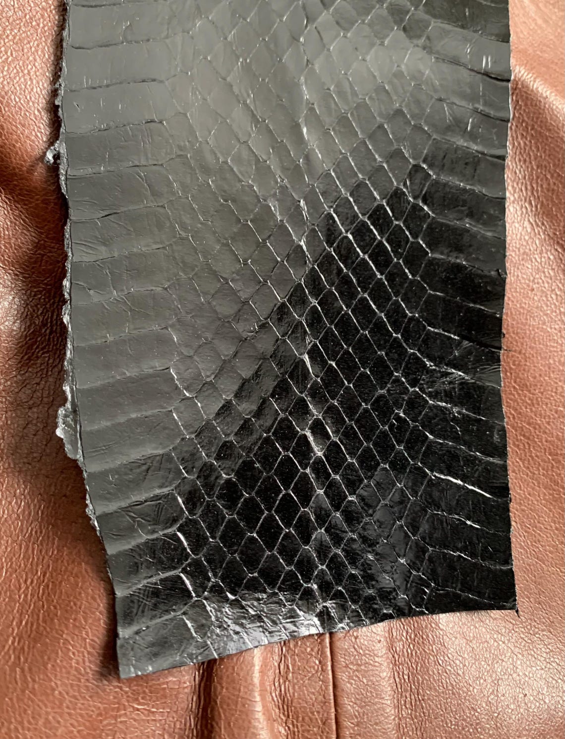 Authentic Italian Snakeskin Hides From Milan Italy, Shiny Black ...