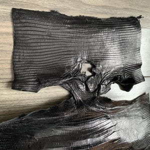 Authentic Italian Lizard Hide From Milan Italy - Black Lizard Leather ...