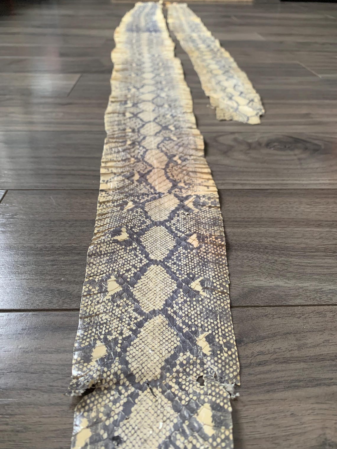 Authentic Italian Python Snakeskin Hides From Milan Italy, Natural ...