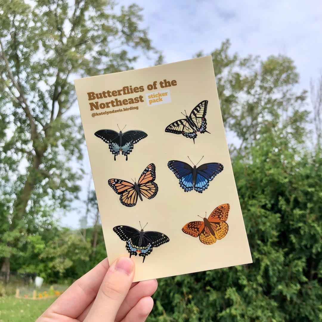 Butterflies of the Northeast Sticker Sheet - 4" X 6" Sticker Sheet - Etsy