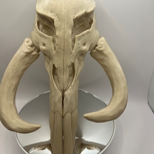 Mythosaur Skull Fan Art | 3D Printed | Primal Taxidermy Skull - Wall ...