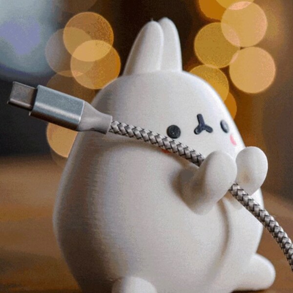 Cute Cable Protector - Etsy