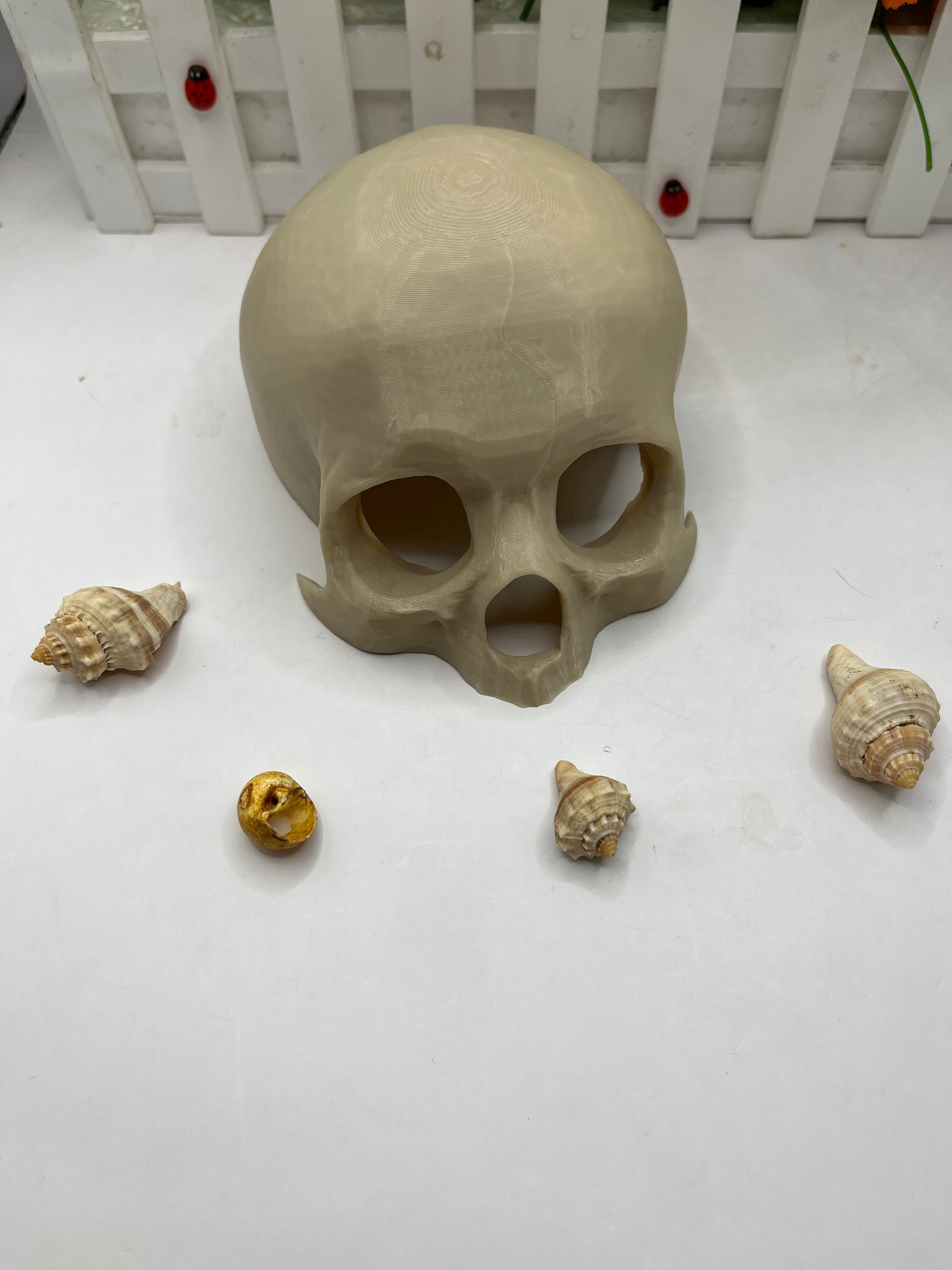 Hermit Crab Skull Hut | 3D Printed | Hermit Crab Cave - Tank Decoration ...