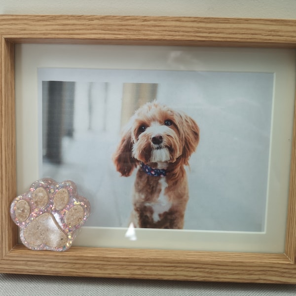 Cat Cremation Picture Frame - Etsy