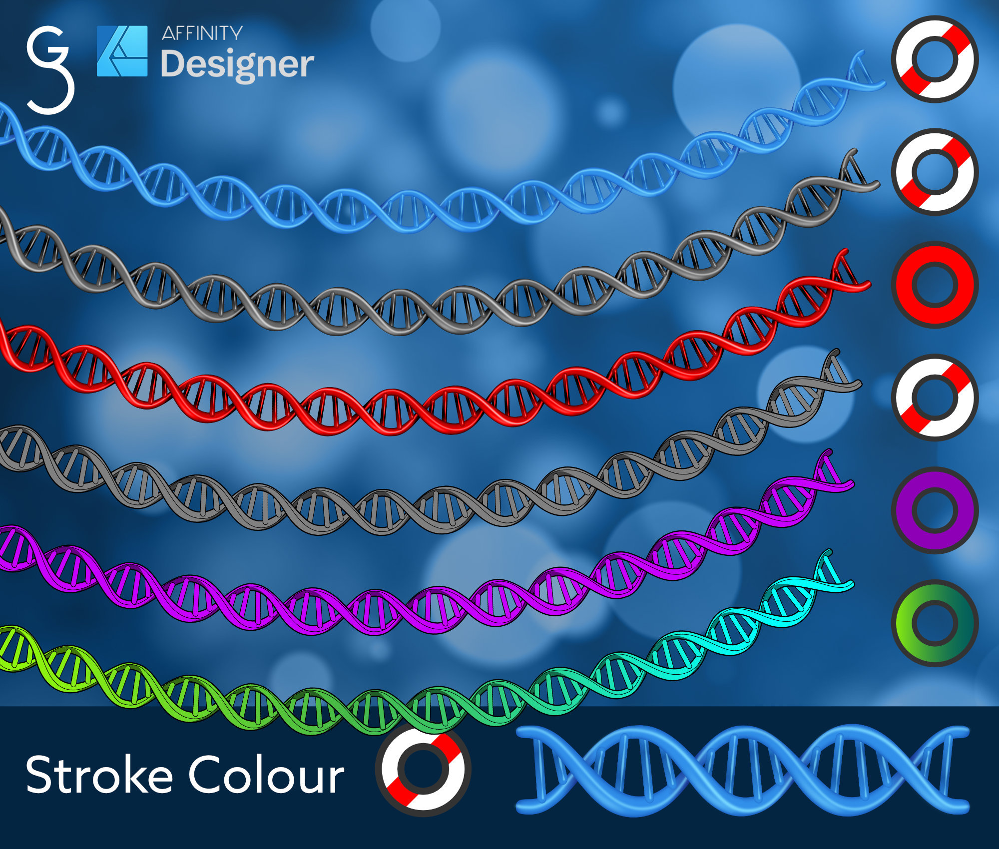 3 DNA Vector Brushes for Affinity Designer - Etsy